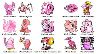 Me and My Neopets: Pink Petpet