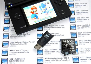 Nintendo DS ROM Download