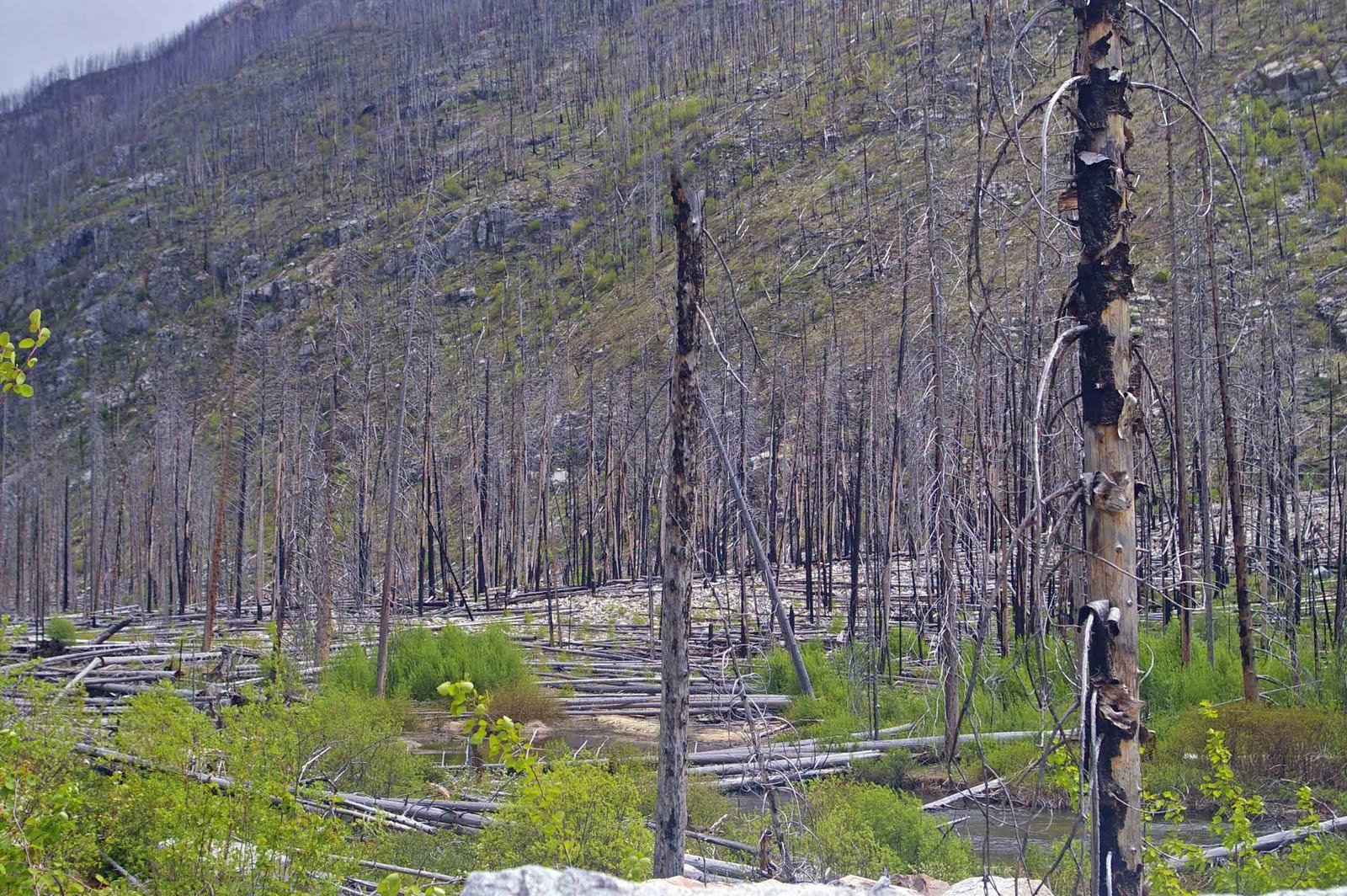 usbackroads™: 30 Mile Fire Memorial, Chewuch River, Washington