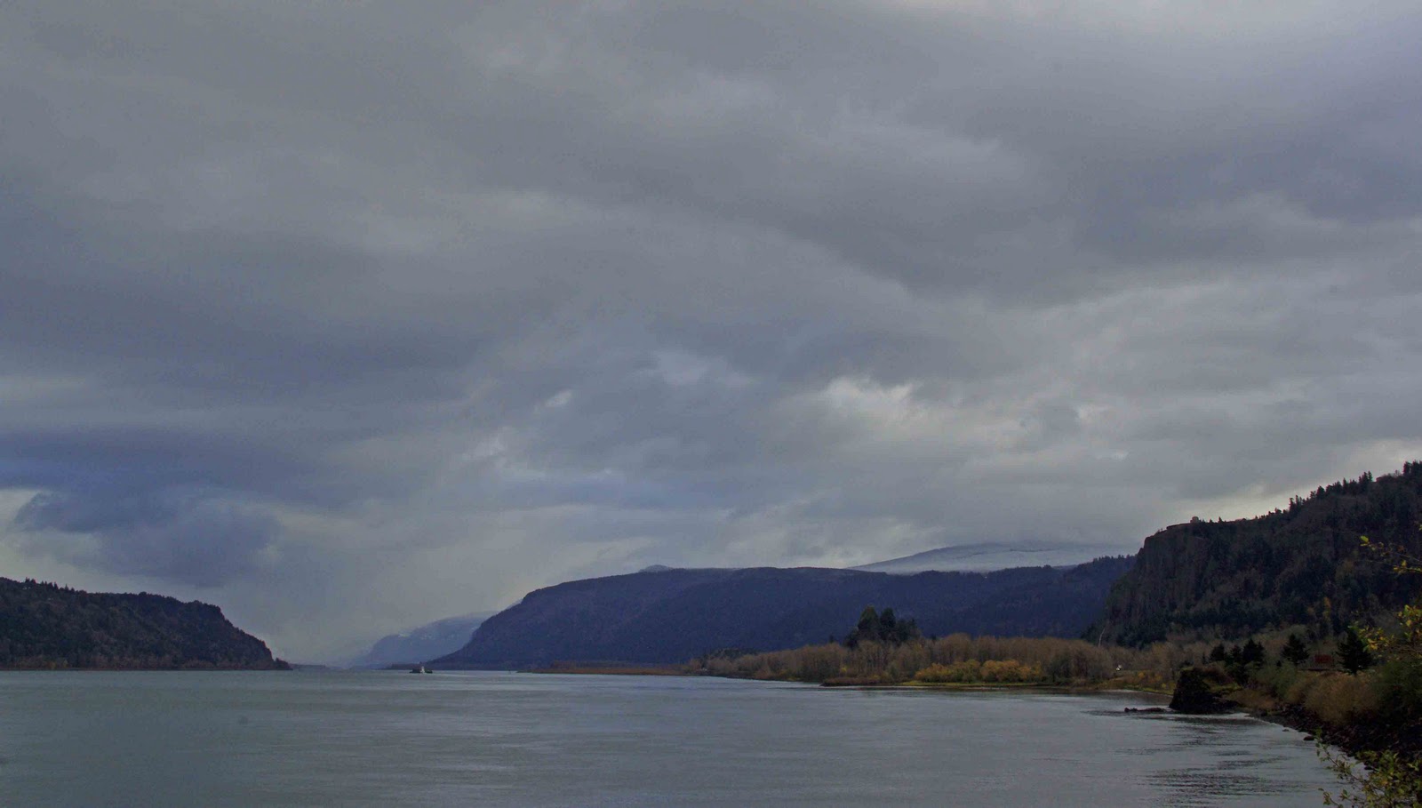 usbackroads™: Armitage County Park, Eugene, Oregon