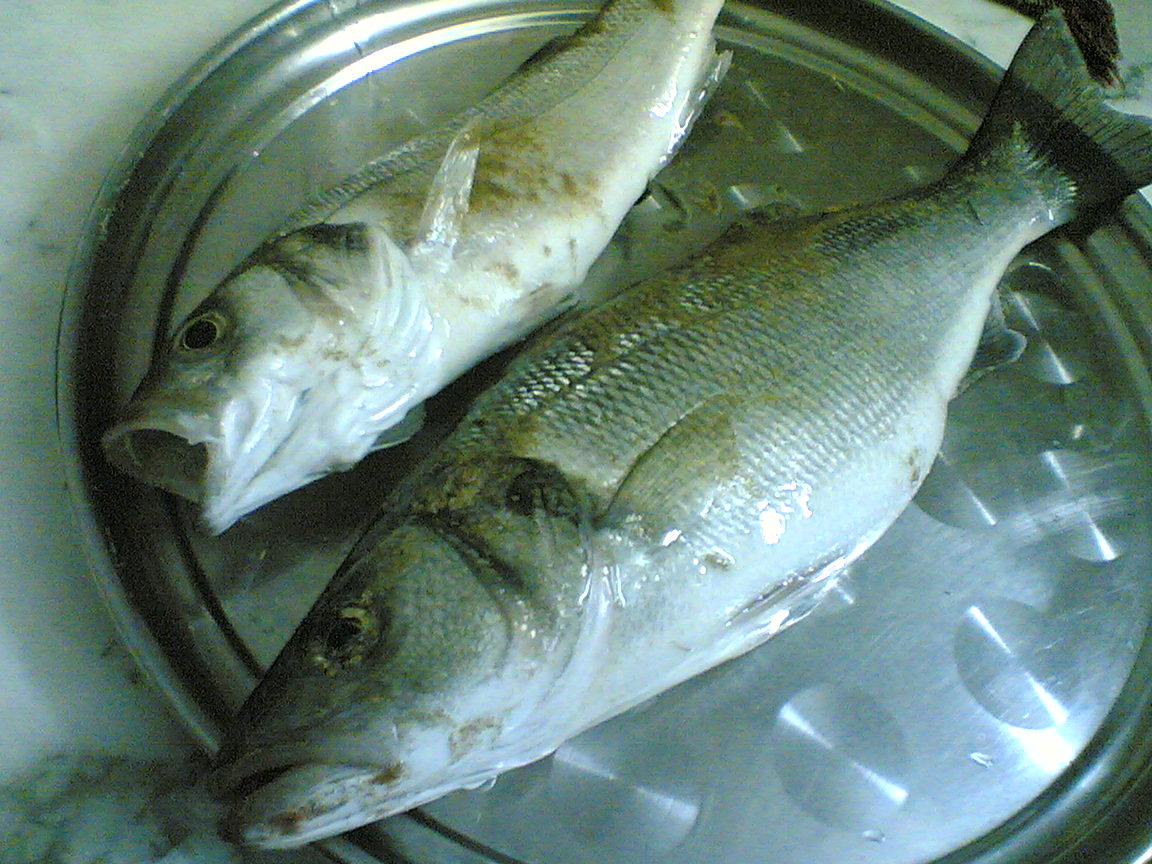 Jerba: 9arouss bouri doral حوت جربة