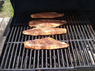 how to prepare smoked fish/ smoking fish at home