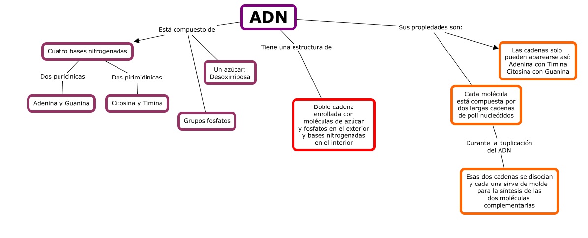 Equipo numero #4: Mapa conceptual