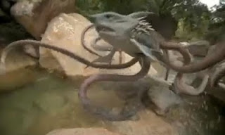 The Rogue Botanist: MUTANT OCTOPUS-SHARK WEEKEND