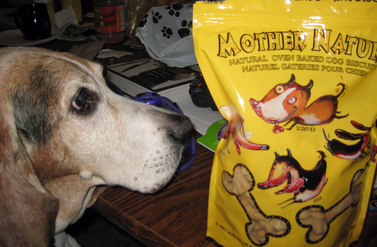 Jake's Takes: Basset Thoughts: Jake's New Toy - The Kibble Nibble