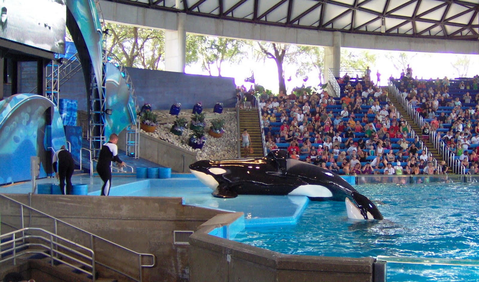 Ms Ed's Research and Recipes: Busy Busy