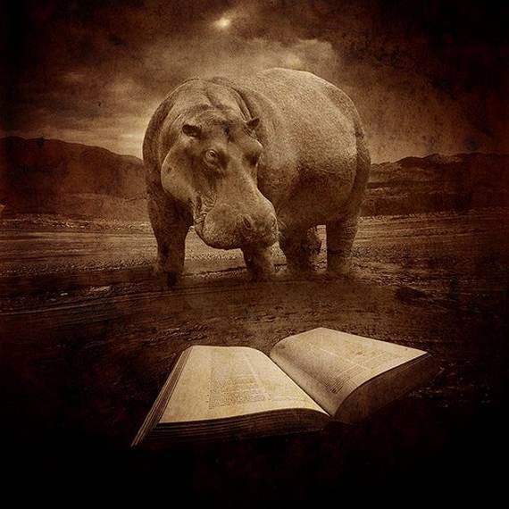 PICTURE BUGS: Strange Photos