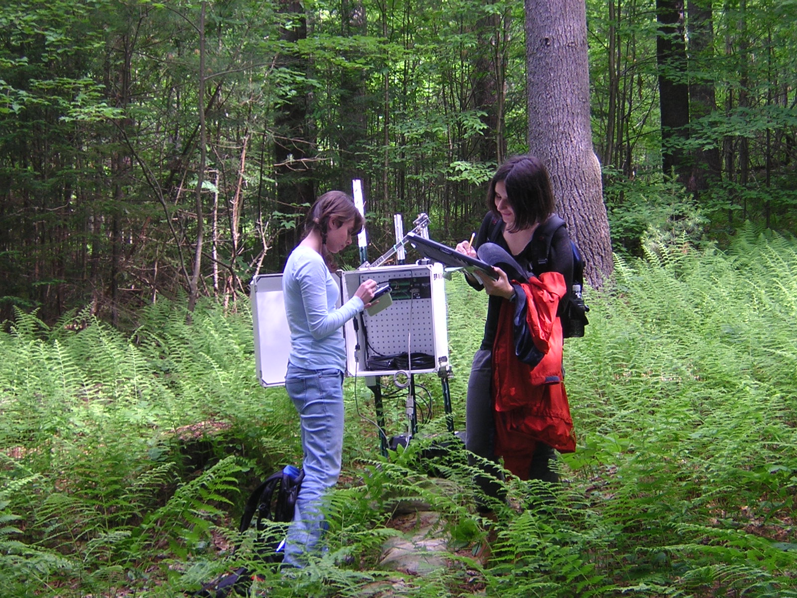 Harvard Forest Summer Research Program: PROJECT PROFILE: Using Computer ...