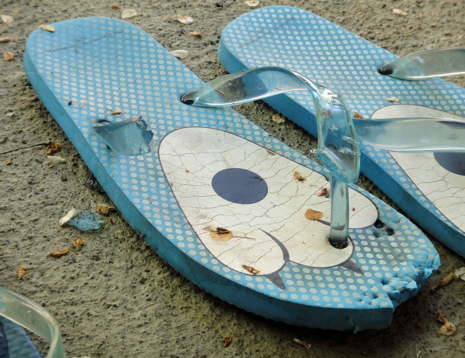 Benny's Big Beautiful Blog: Another Slipper Incident