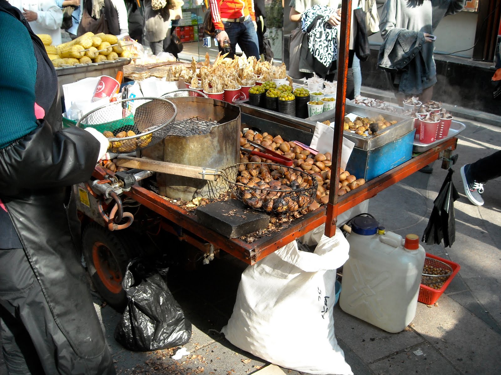 Piquant Seoul: Street Food Extravaganza