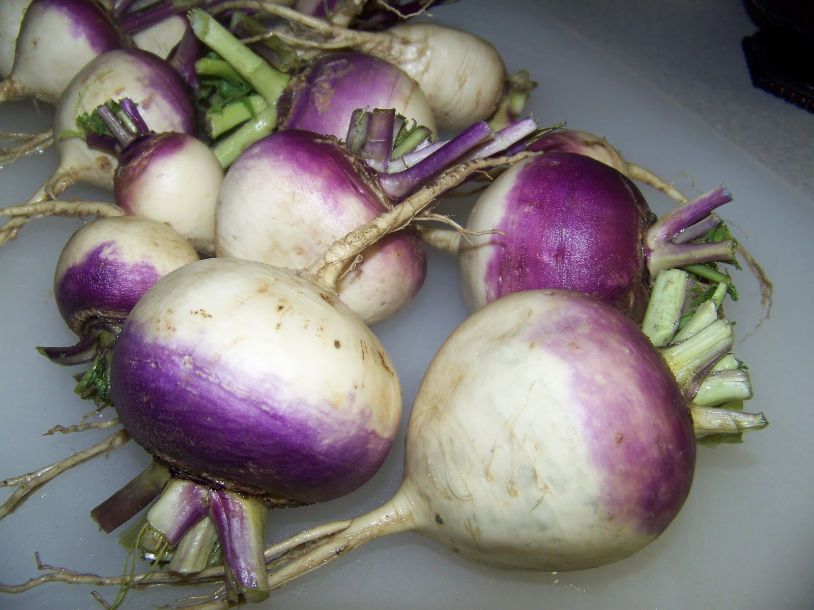 Hickery Holler Farm: Scalloped Turnips