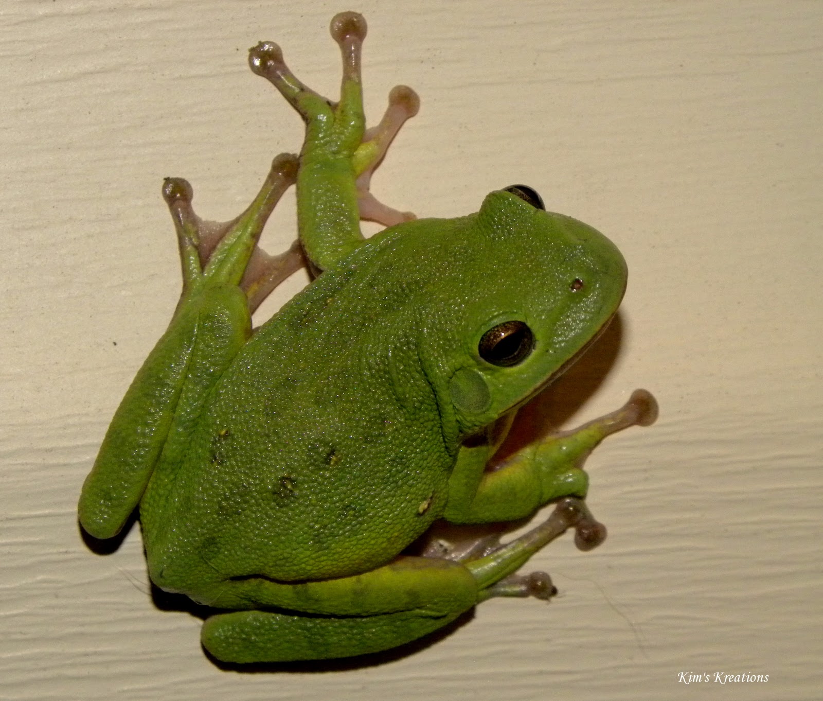 Its a Southern Thing: Confession Time....