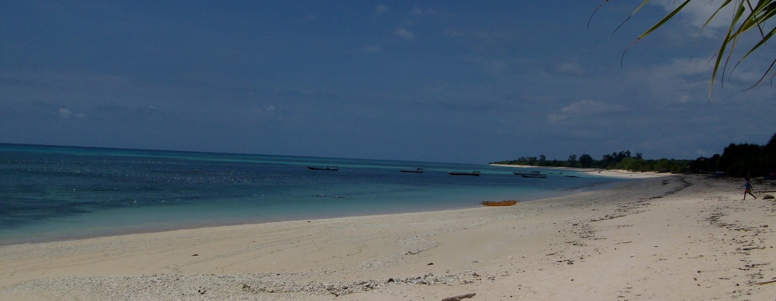 Retno Ika: Pulau Semau, NTT