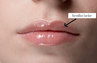 reneemulrooneybiol3500: The Lips (Labia)