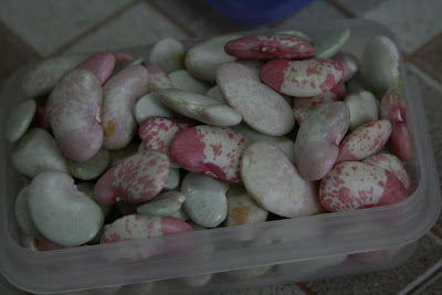 My Food Blog: Double Beans
