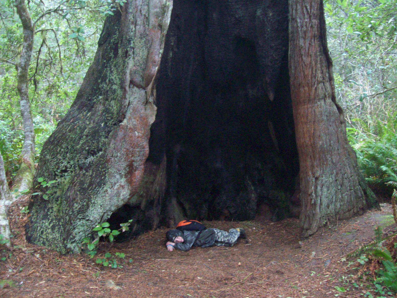 California suburb destroyed by fire last night : r/pics