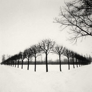 WithASmile.*: Principles of Design -- Asymmetrical Balance