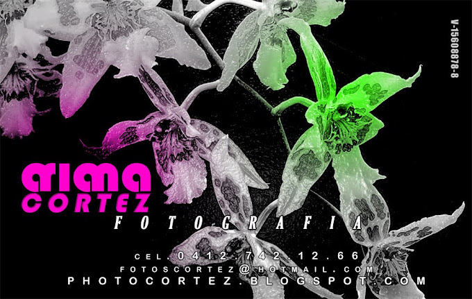 Ariana Cortez Fotografo