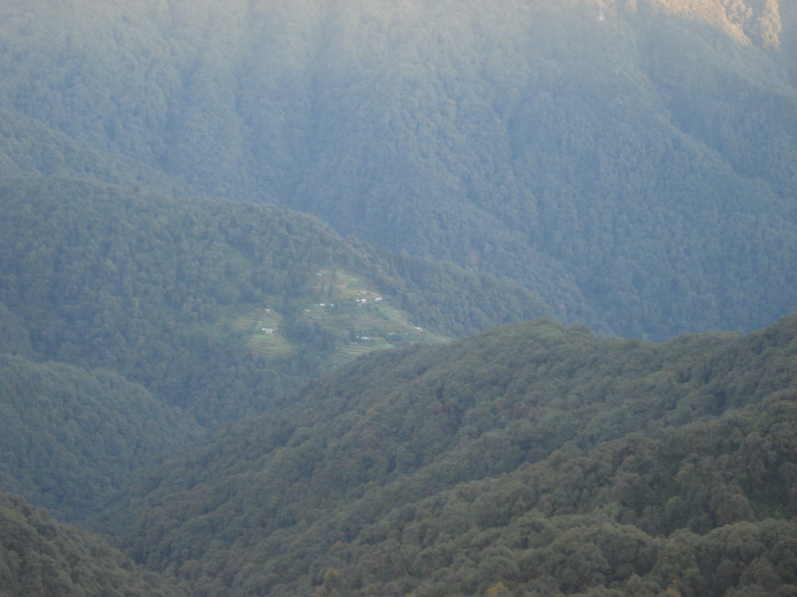 Online Article: Sandakphu Trekking with photos [Manebhanjan -> Tumling ...