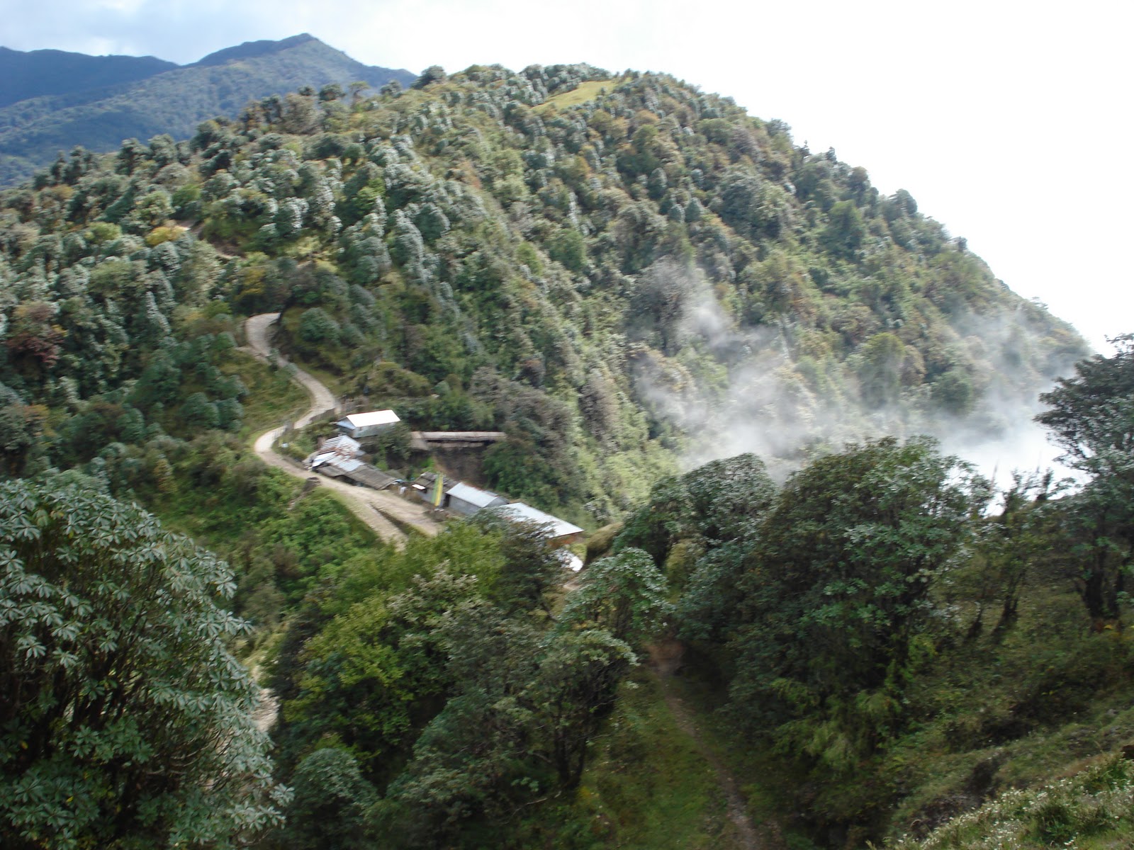 Online Article: Sandakphu Trekking with photos [Manebhanjan -> Tumling ...