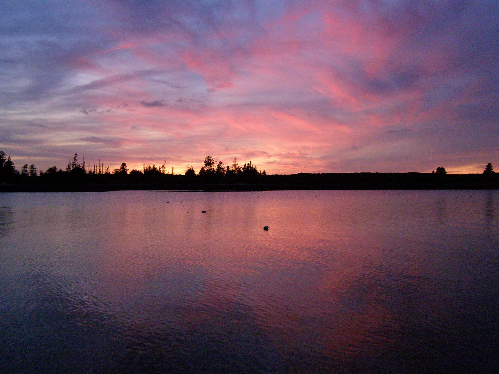 Advnturunlimitd: SEAL BAY TO HARBOR & HALL ISLANDS