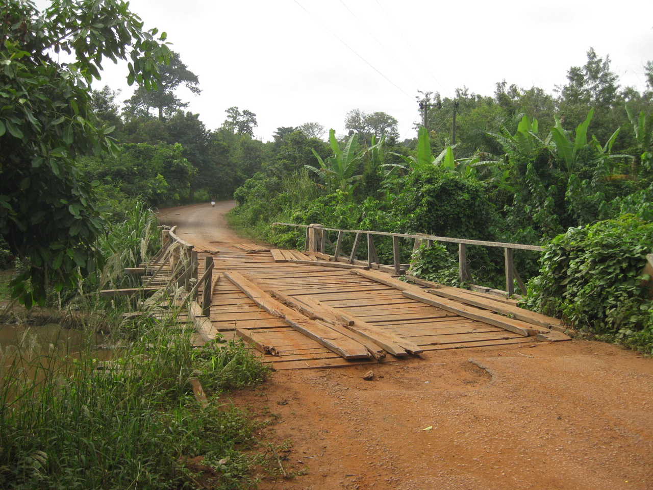 Karen and Ama visit Ghana: Fire (Mole) National Park