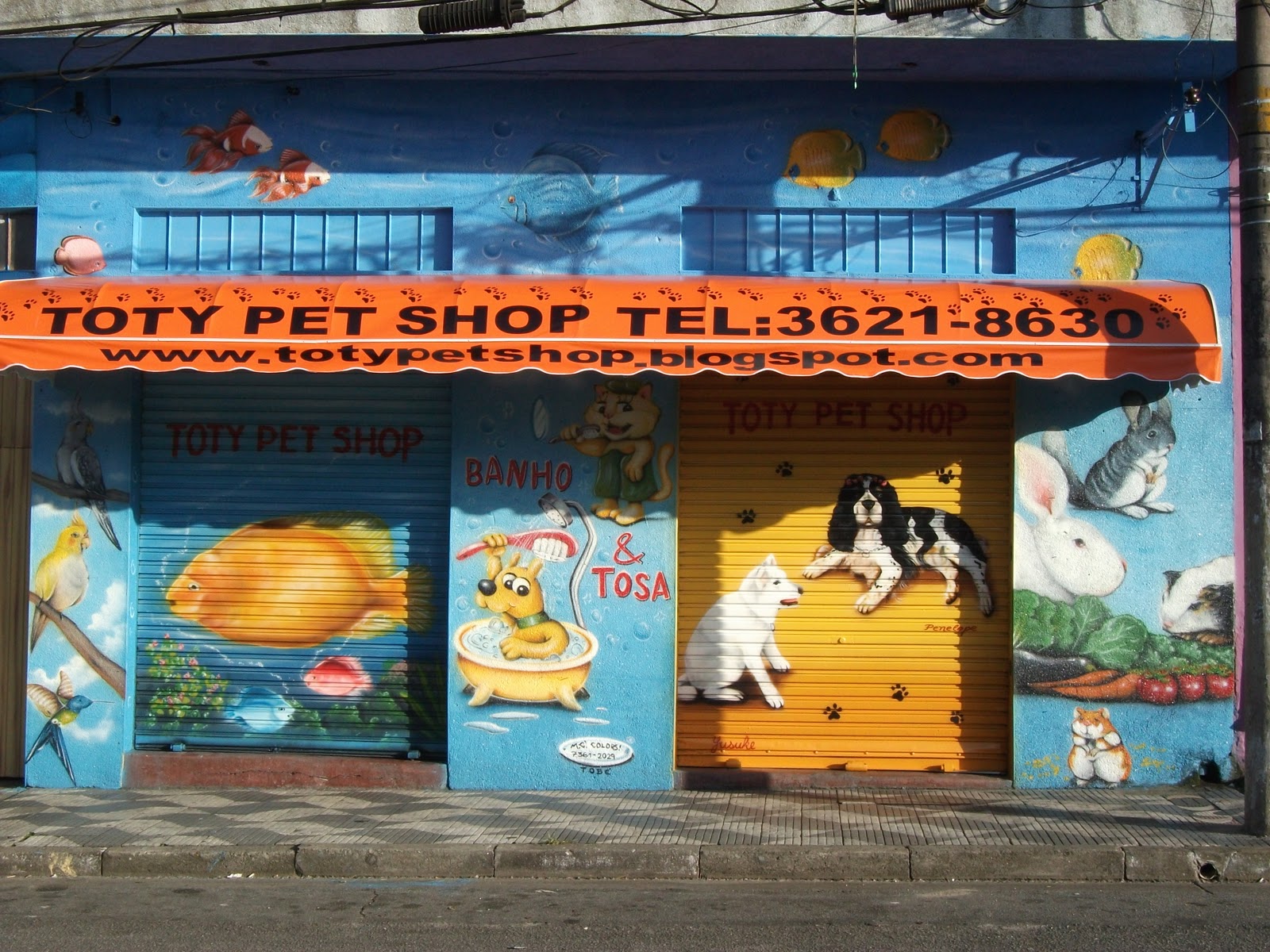 Toty Fish Peixes Ornamentais e Pet Shop: NOVA FACHADA TOTY PET SHOP