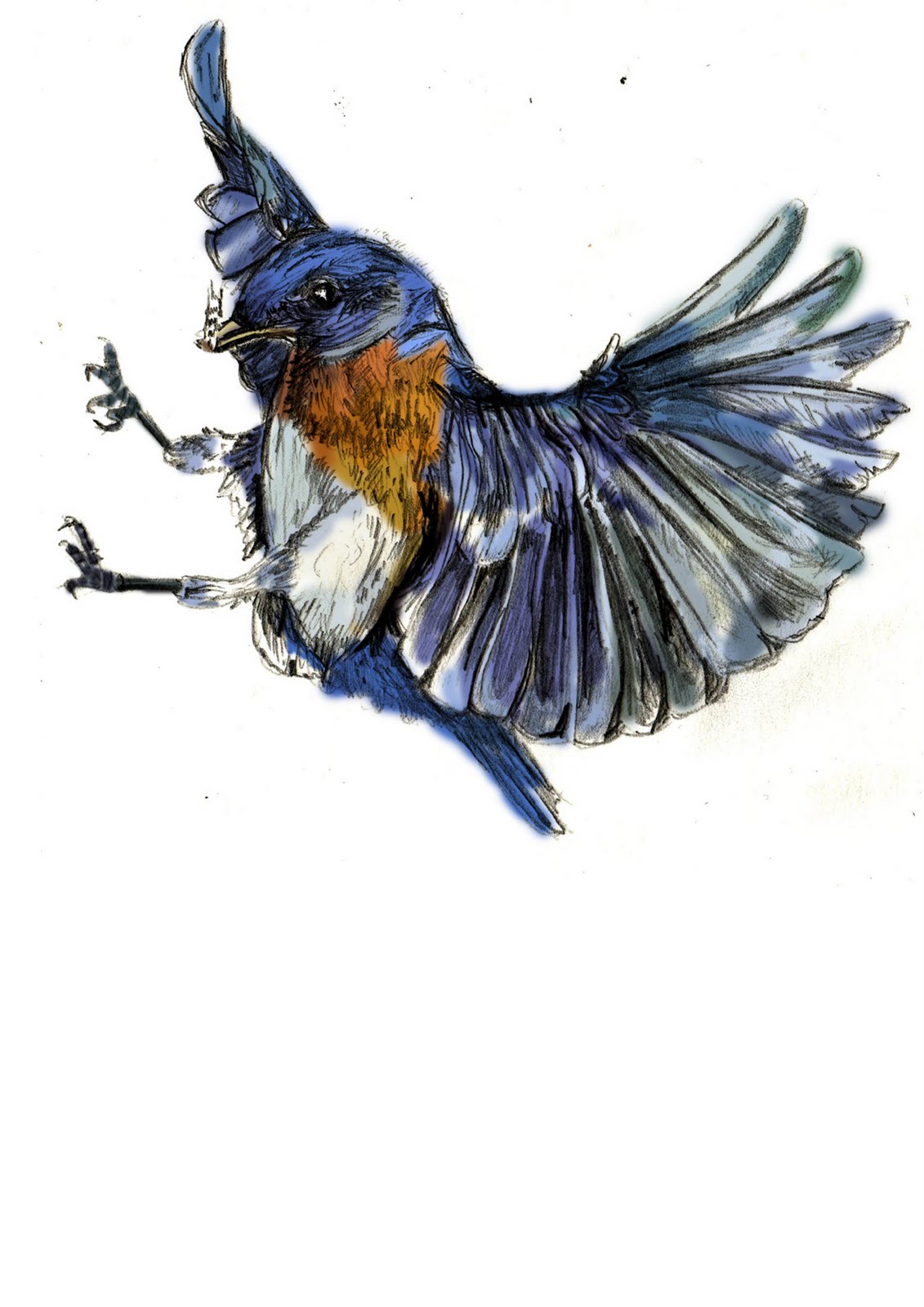 Hannah Exall: October 2010