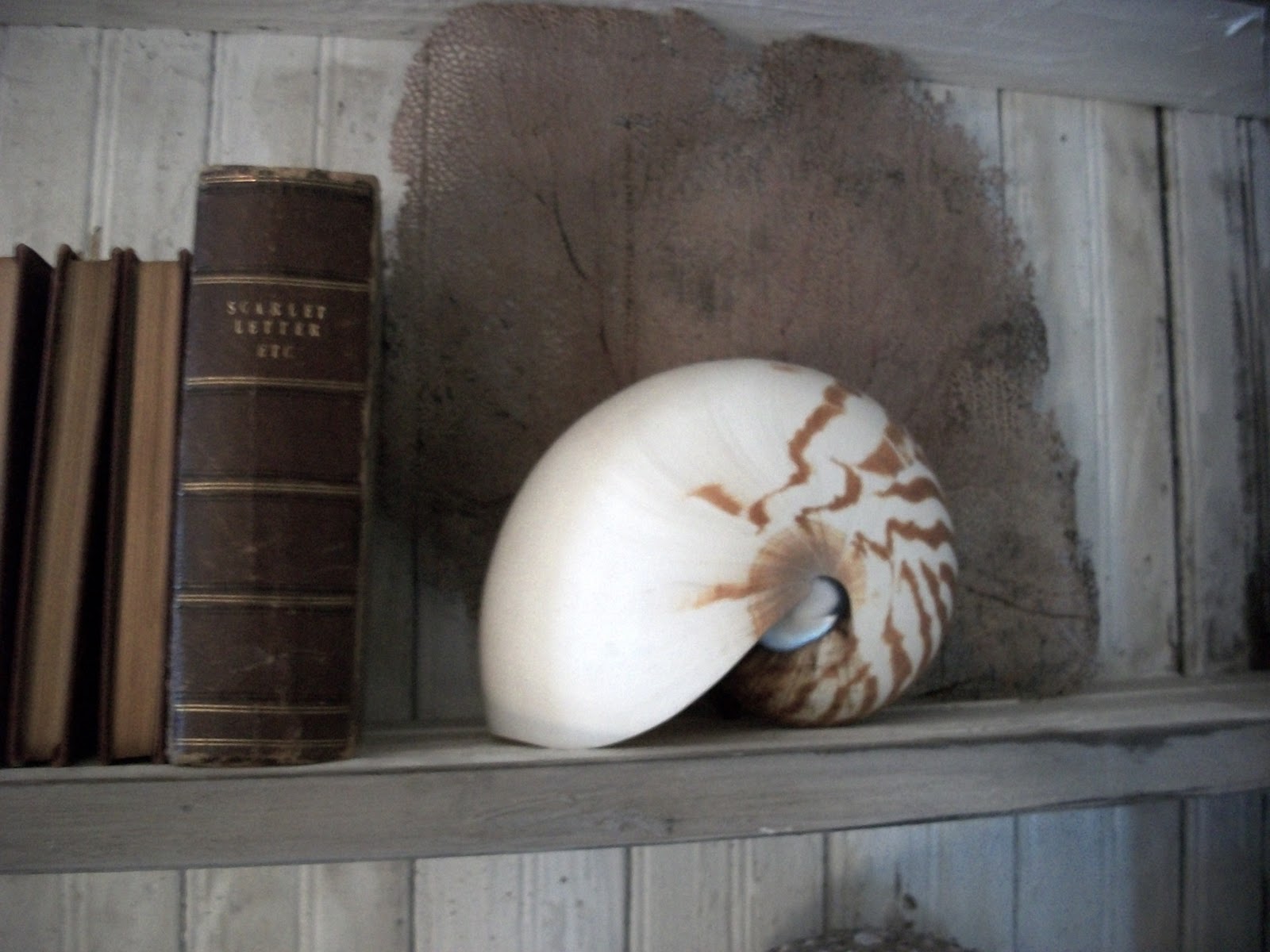 Full Bloom Cottage: Decorating Ideas for Bookshelves & Mantles