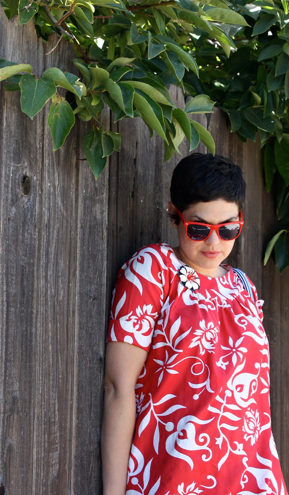 THE CITIZEN ROSEBUD: the United States of Aloha