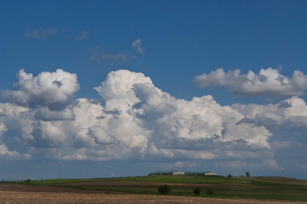 Bailey's Buddy: Cumulus Farm Views - Photos by Bob Kelly