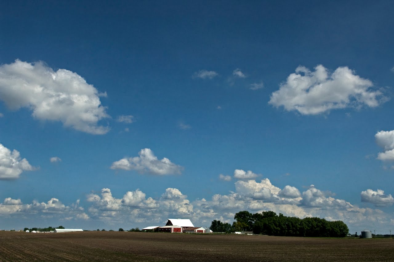 Bailey's Buddy: Cumulus Farm Views - Photos by Bob Kelly