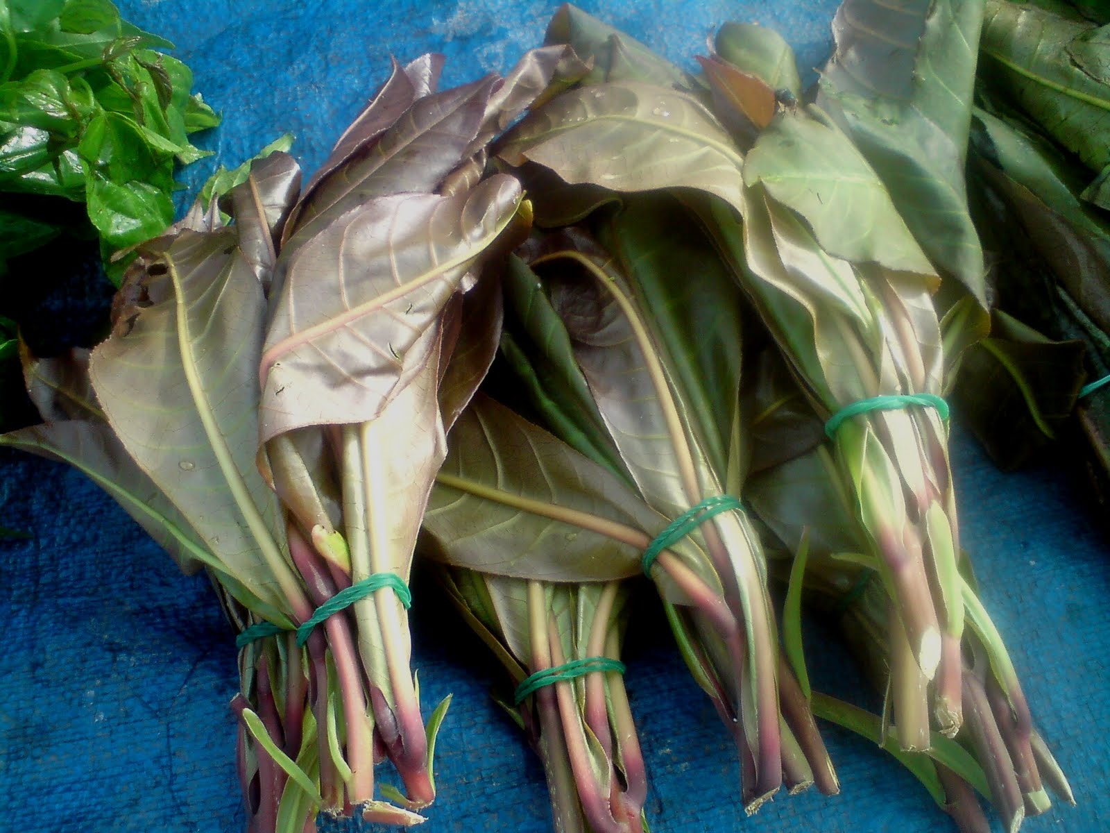 Dari Dapur Shira Shaakira: Ulam sesuai untuk buat kerabu