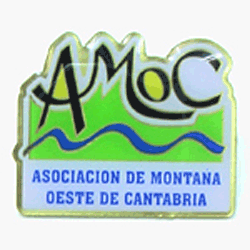 pins personalizados