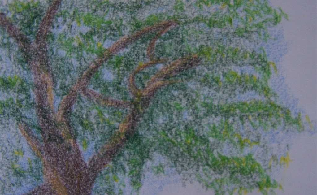Monica Fallini daily paintings: Sketch of a tree in colored pencils ...