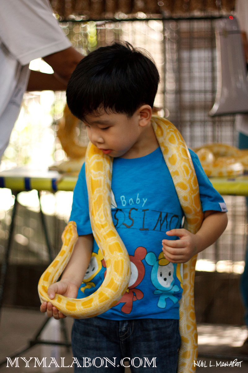 My Malabon: Malabon Zoo: The Zoo with a Mission