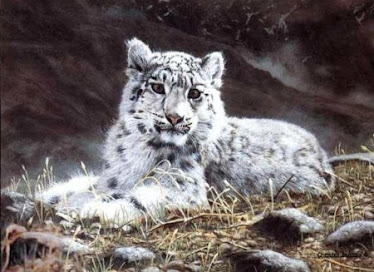 Project Snow Leopard (For Educational Purpose Only)