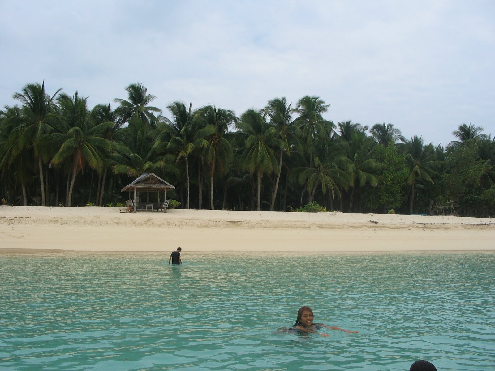 Hawk King: Alabat Quezon Philippines