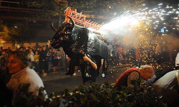 El Bou de Reus: Bous de foc