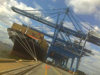 On the Record: Behemoth of the sea