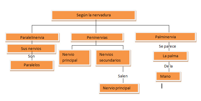 clasificacion de hojas guia 2.5: 2. MARCO TEORICO clasificacion de hojas guia 2.5: 2. MARCO TEORICO
