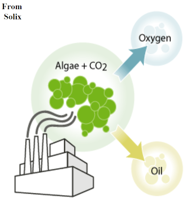 NewEnergyNews: EXXON BUYS ALGAE