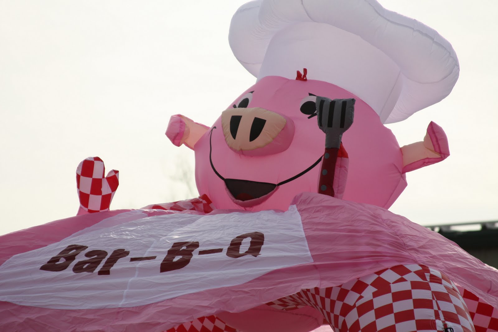 Ca$hjocky and the "Old Salt": Pink Saturday ----- BBQ