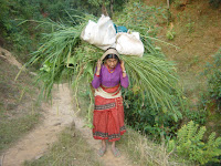 National Forage & Grassland Research Centre, Nepal: Use of Fodder Trees ...