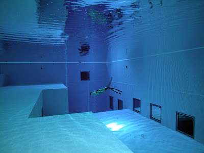 No des que hablar...: Nemo 33