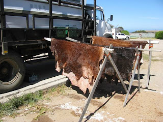 My Journey: BILTONG AND POTROAST DIKDERM