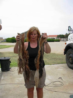 My Journey: BILTONG AND POTROAST DIKDERM