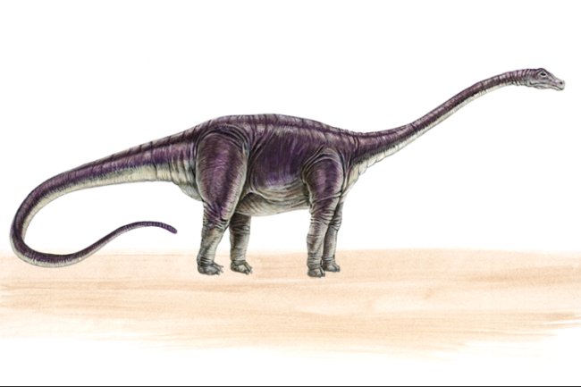 Dinosaur's Kids: Diplodocus