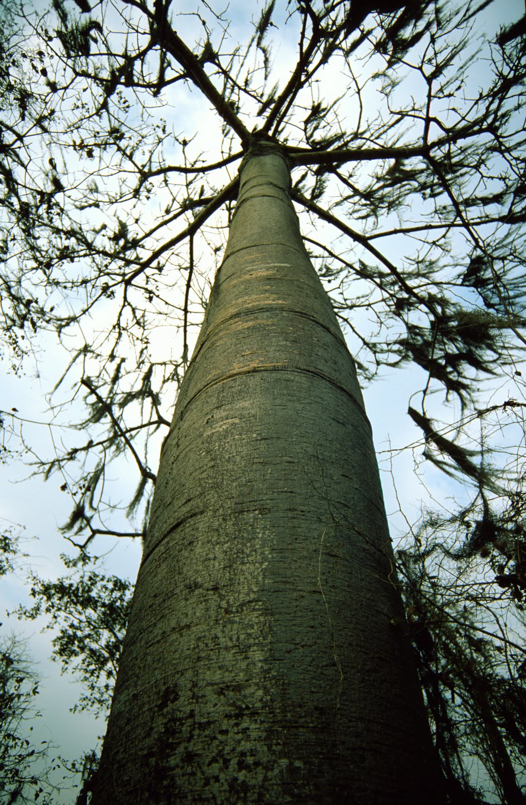 Reserva Nacional de Tumbes: "Un paraíso inimaginable en Tumbes ...