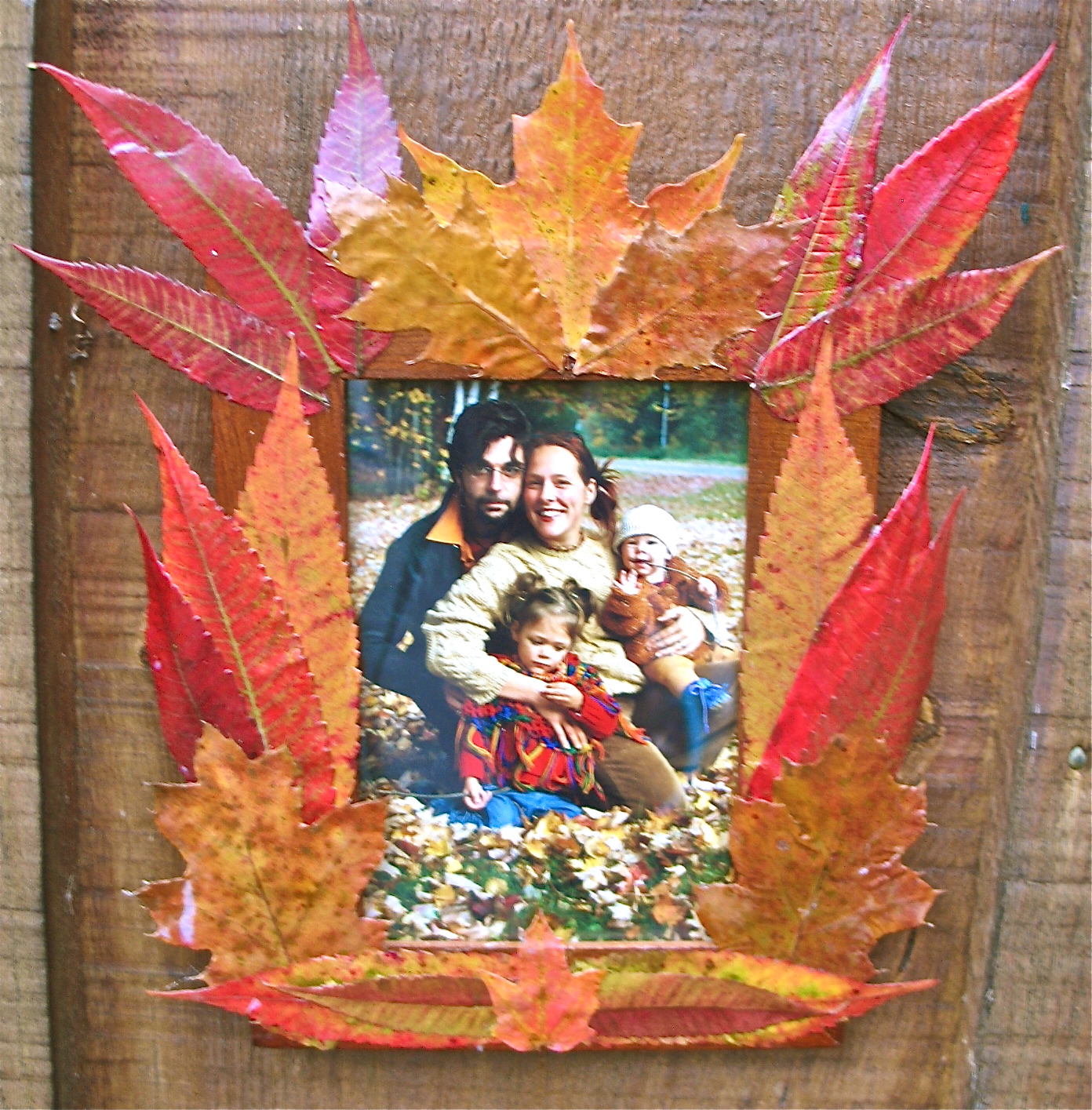 Twig and Toadstool: Fall Foliage Frames!